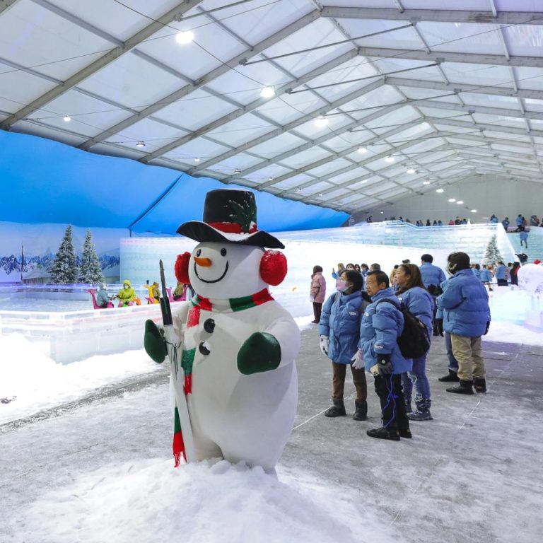 Beat the Heat with Indoor Snow Adventures: A Guide to Indoor Snow ...